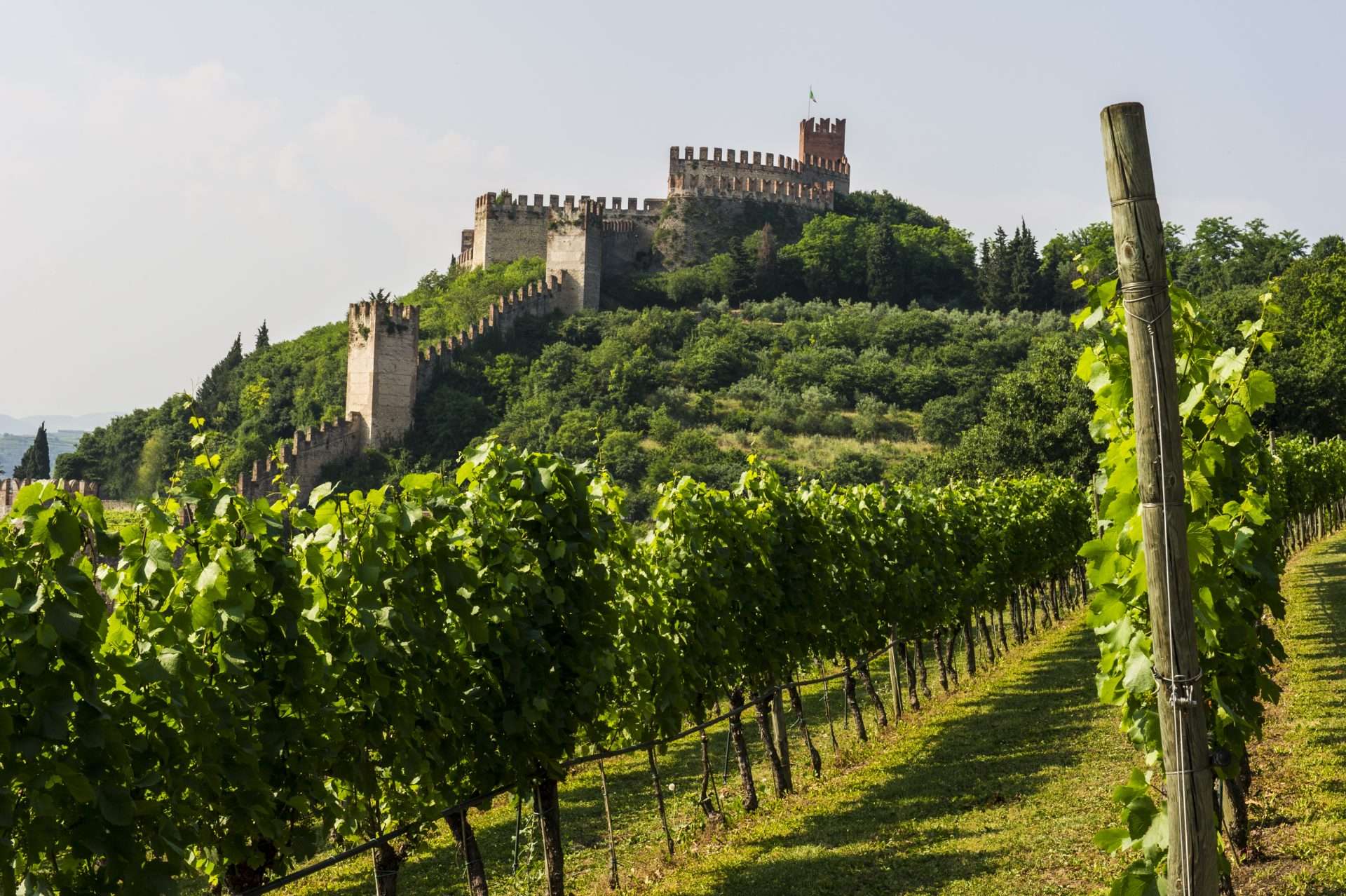 Rocca Sveva's Castelcerino Soave DOC Classico 2020 - Wine Meridian