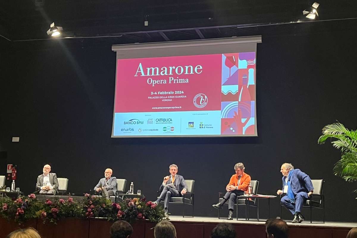Amarone || La sfida del grande vino della Valpolicella