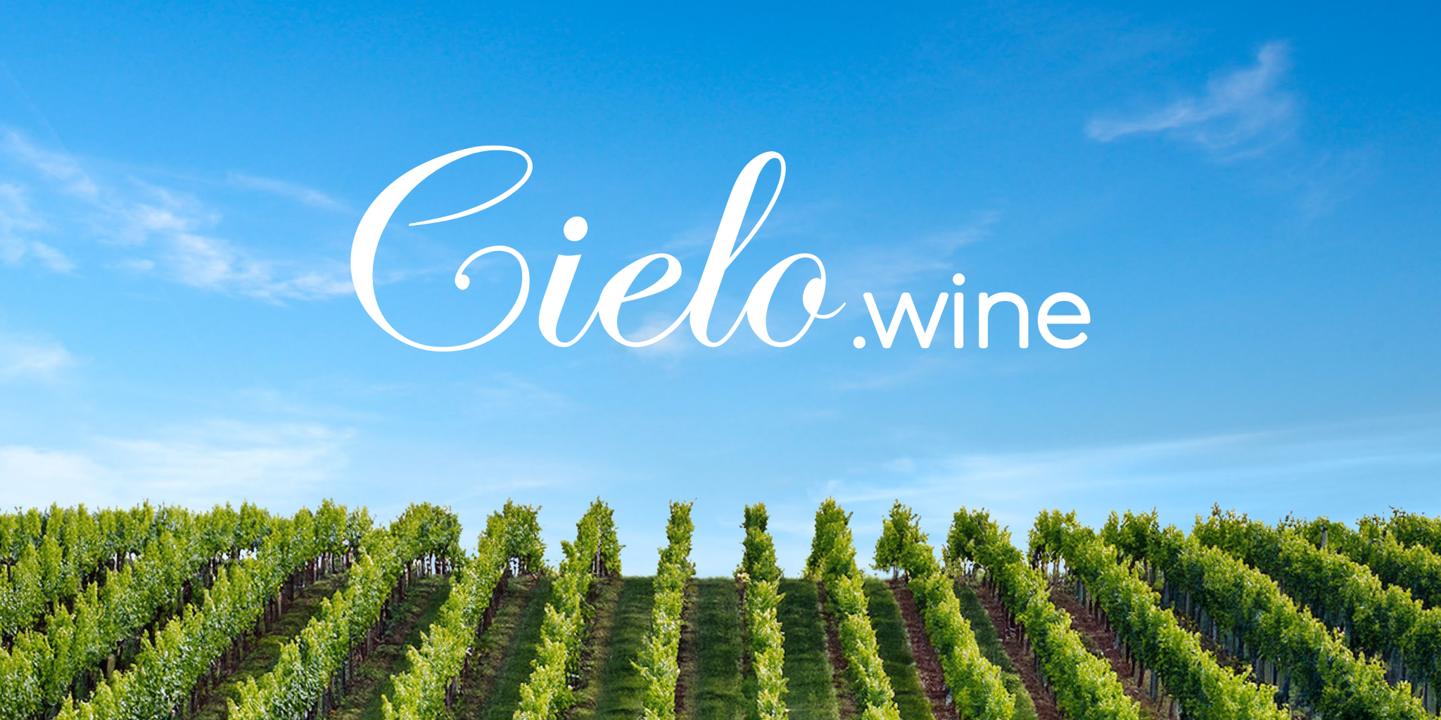 ProWein Düsseldorf 2026: New Vision for Wine Trade Fair